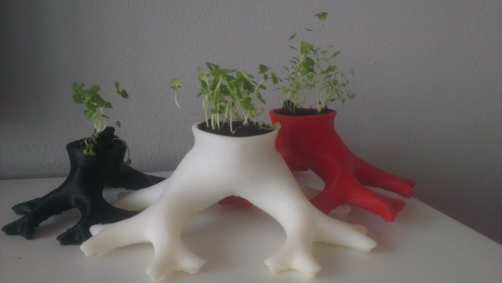 3D printing Binary Roots・Cults