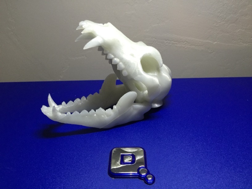3D printable Boneheads Series 1: Wolf Skull w/ Articulated Jaw - via ...