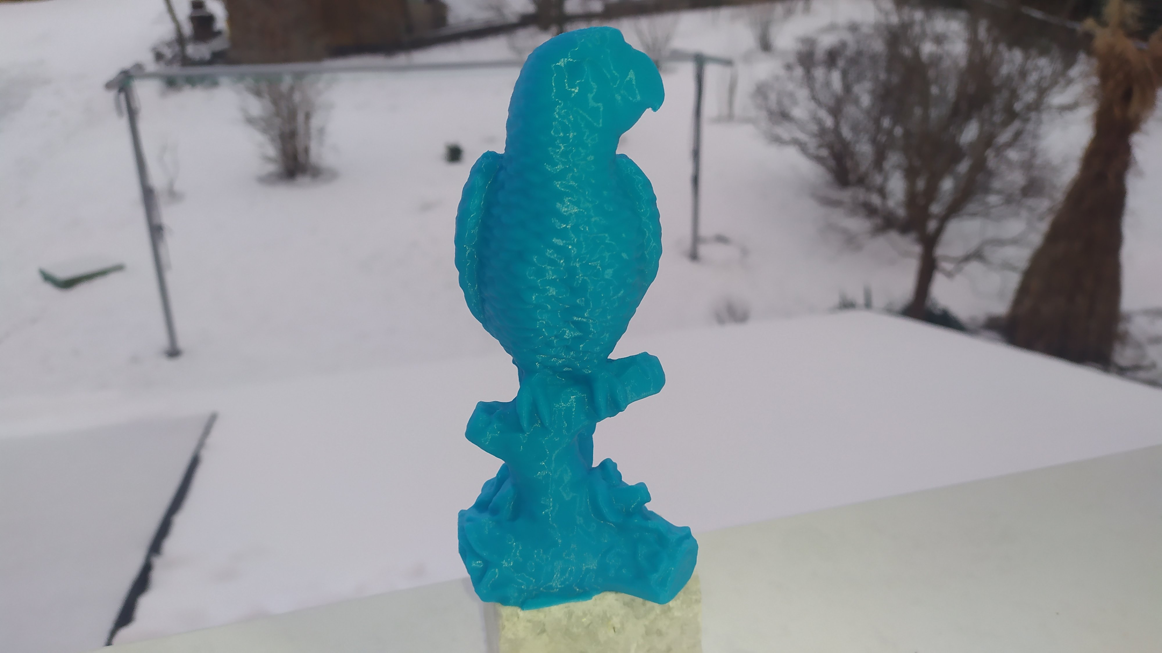 3D print Macaw parrot - 3D Scan・Cults