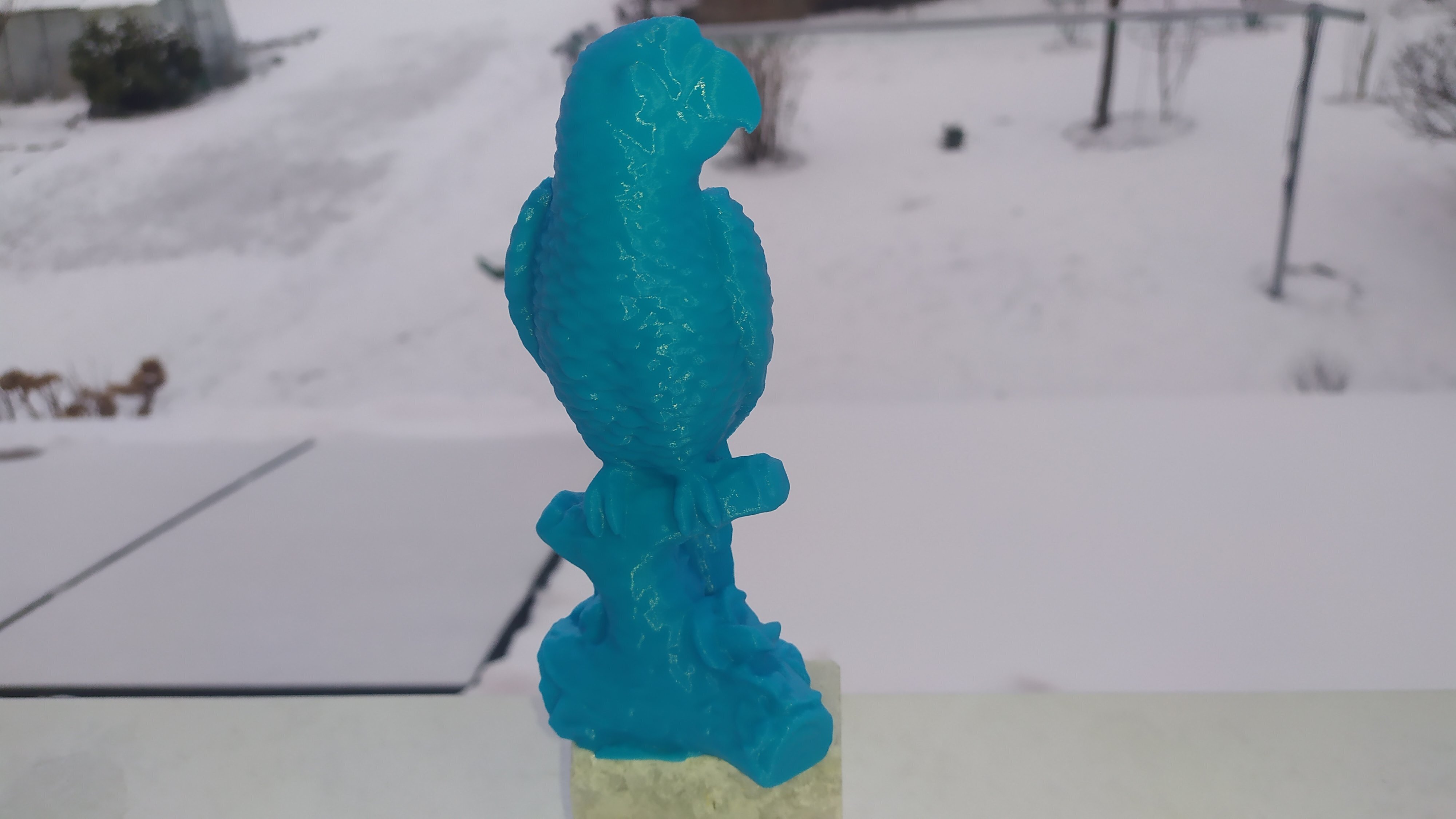 3D print Macaw parrot - 3D Scan・Cults