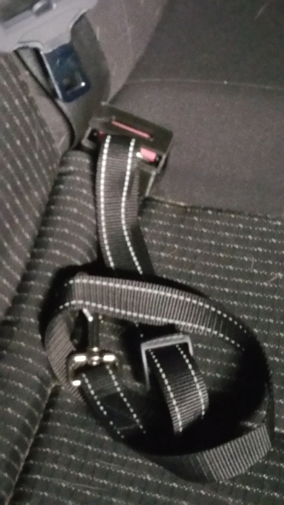 💺 Seat belt lock device・Free 3D File for ・Cults