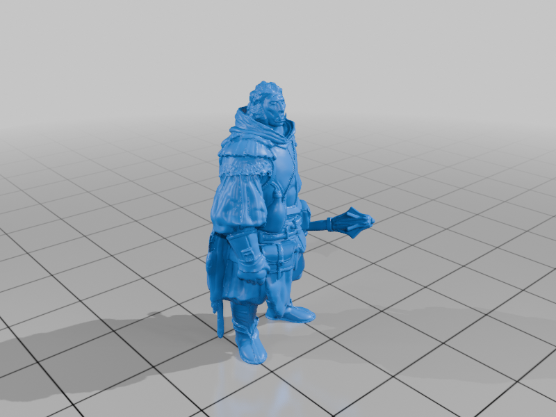 🎲 Bleak Cabal Voidsoother / Orc Cleric (DND / TTRPG)・Free 3D File for ...