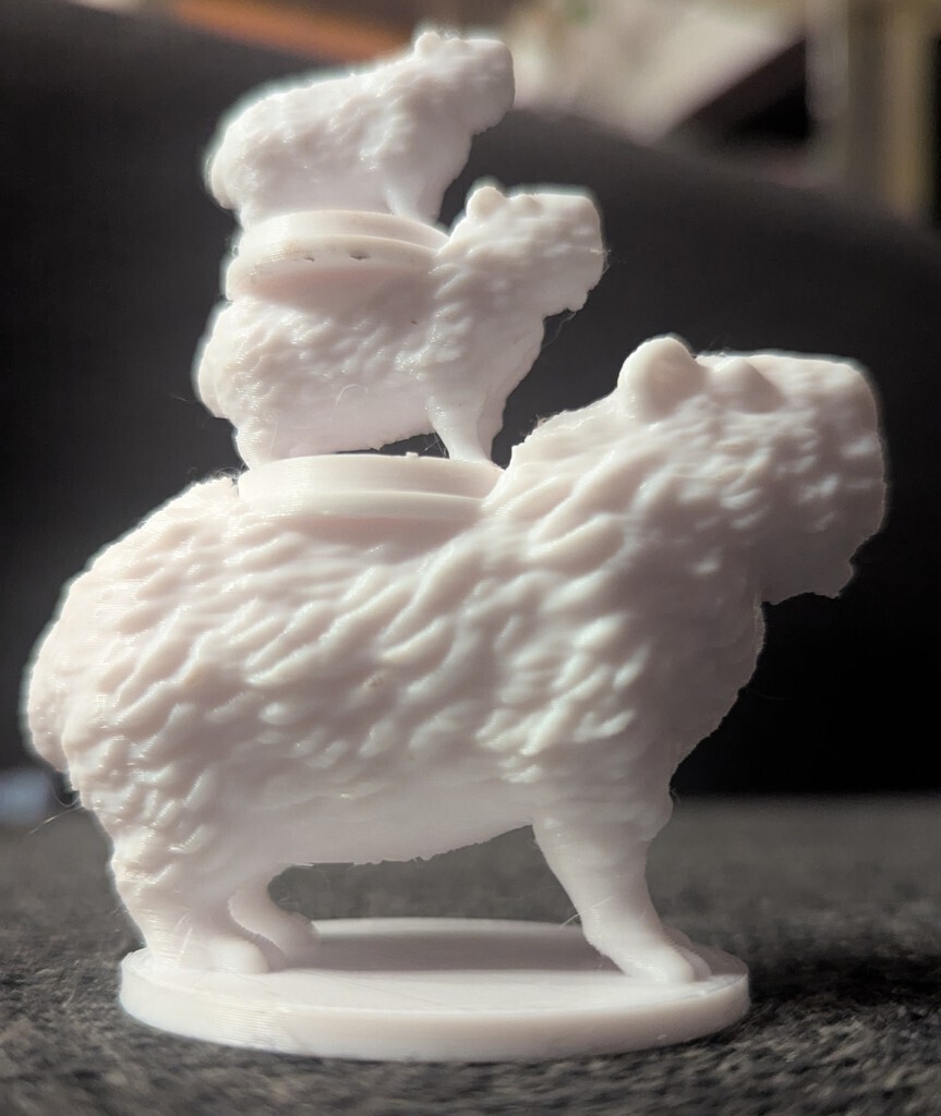 🎲 Capybara Mount 20mm, 25mm & 50mm (DND / TTRPG)・Free 3D File for ・Cults