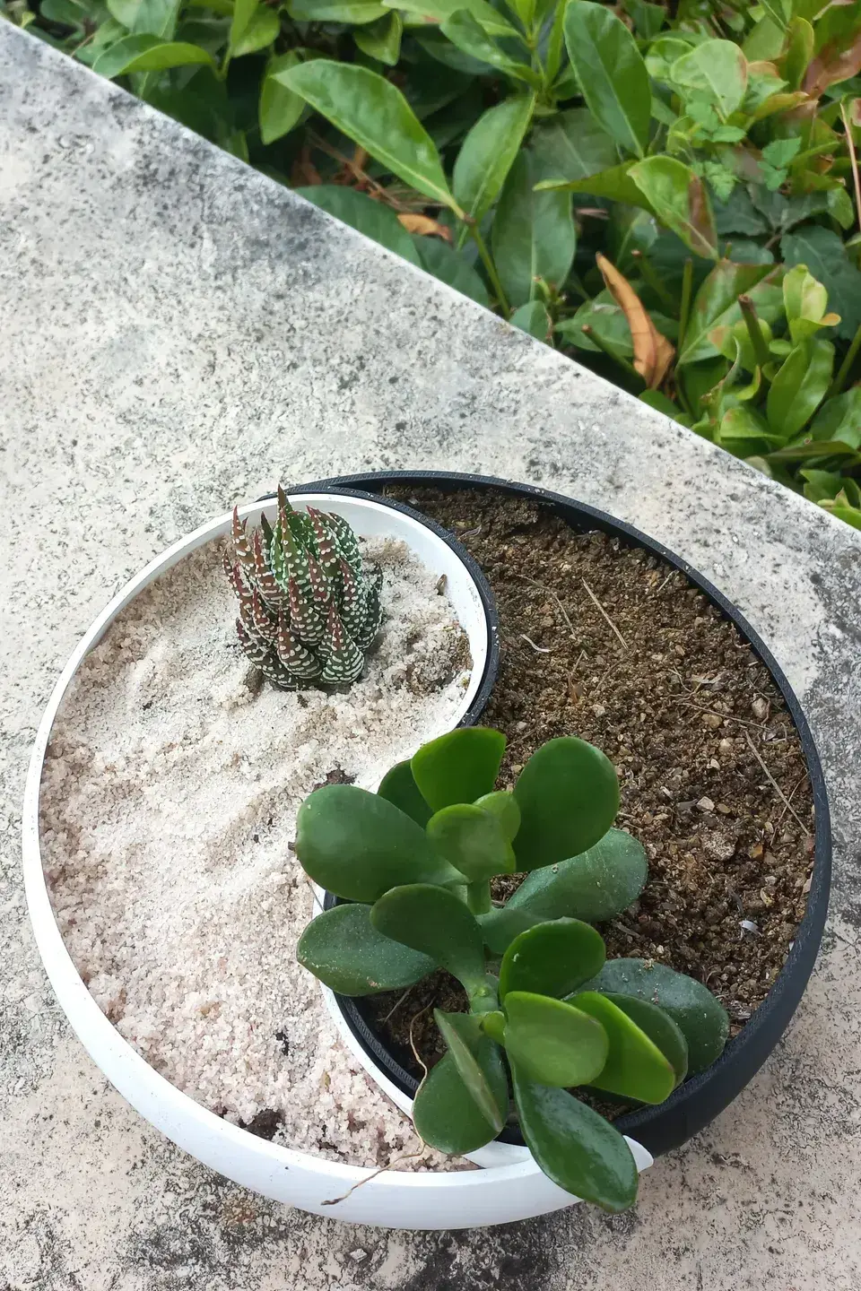 Free 3D file Ying Yang planter vase bowl ☯️ ・3D printable design to ...