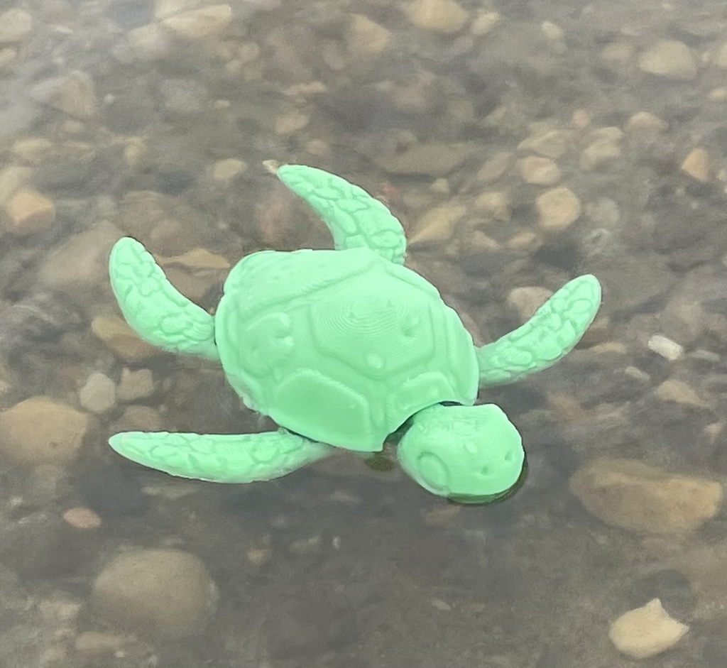 👶 baby articulated turtle・Free STL File for 3D printing・Cults