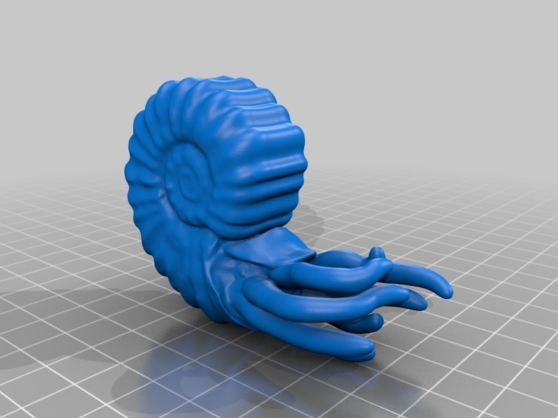 Free 3D file アンモナイト（Ammonite）3Dデータ 🎨 ・Template to download and 3D print ...