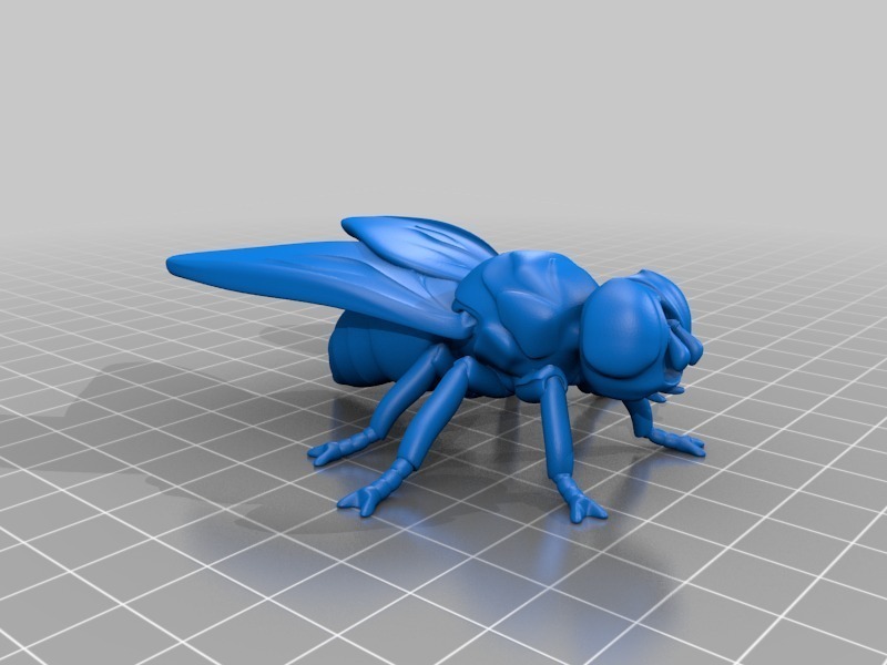 Free 3D file 蠅（Fly）3Dデータ 🎨 ・3D printer design to download・Cults