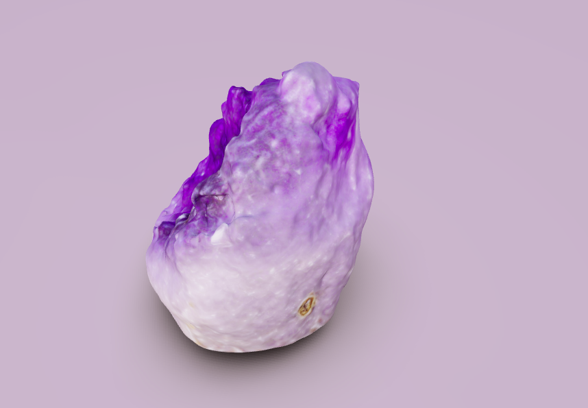 👥 An amethyst geode・Free 3D File for ・Cults