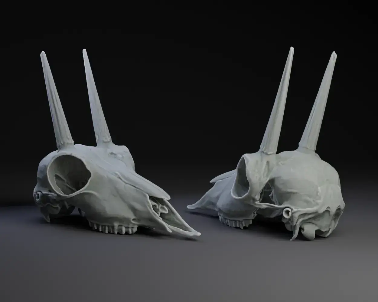 Free OBJ file Grey Rhebok : Antelope Skull 💀 (3MF)・3D printer model to ...