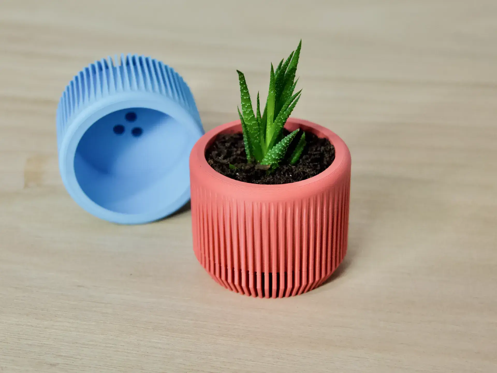 Free 3MF file Modern Japandi Succulent Planter & Cactus Pot 🪴 ・Object ...