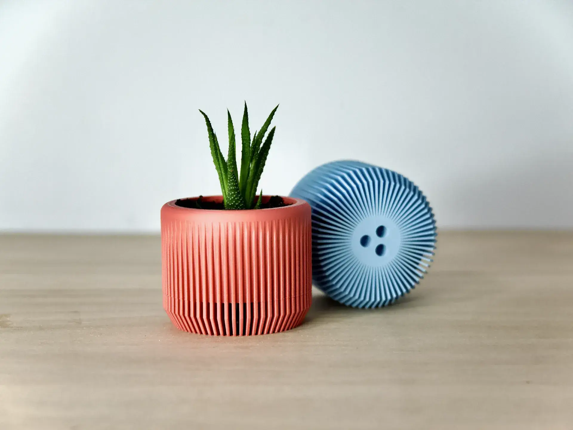 🪴 Modern Japandi Succulent Planter & Cactus Pot・Free 3MF File for 3D ...