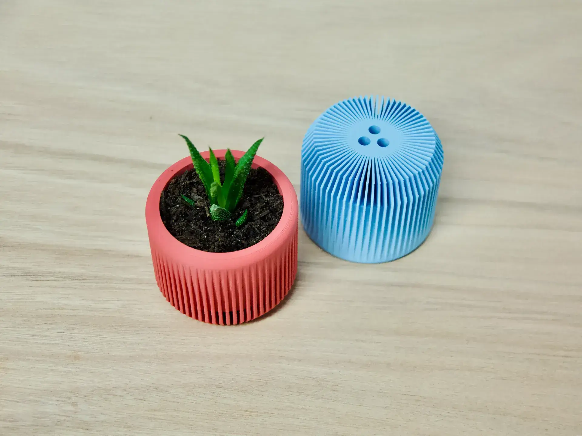 🪴 Modern Japandi Succulent Planter & Cactus Pot・Free 3MF File for 3D ...