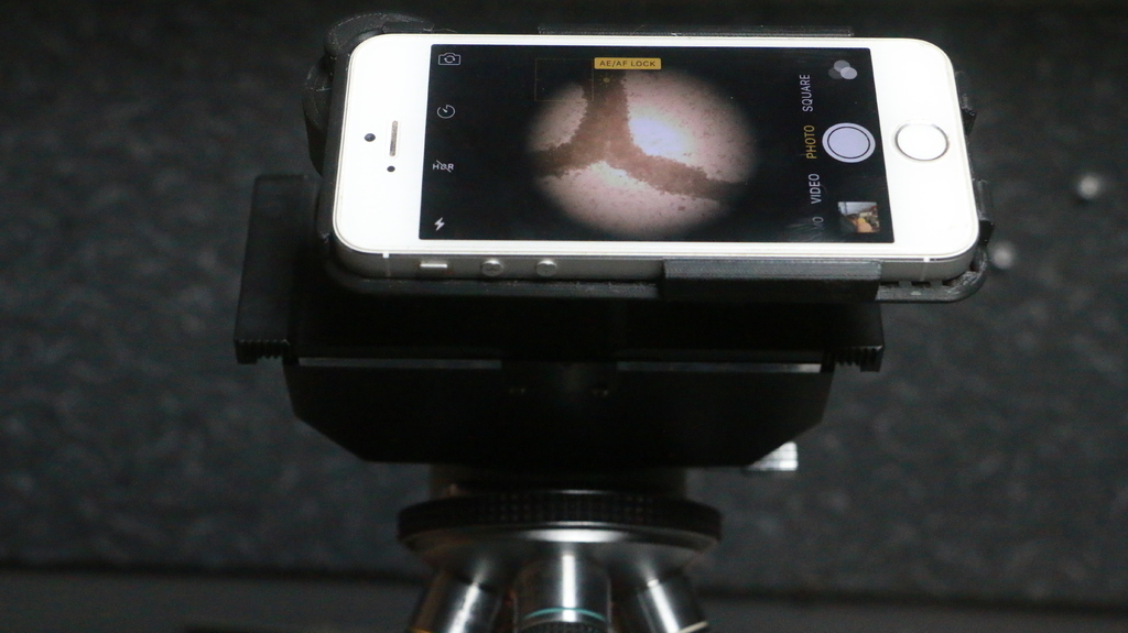 Free 3D file iPhone Mount For a Microscope! 📱 ・3D printable design to ...