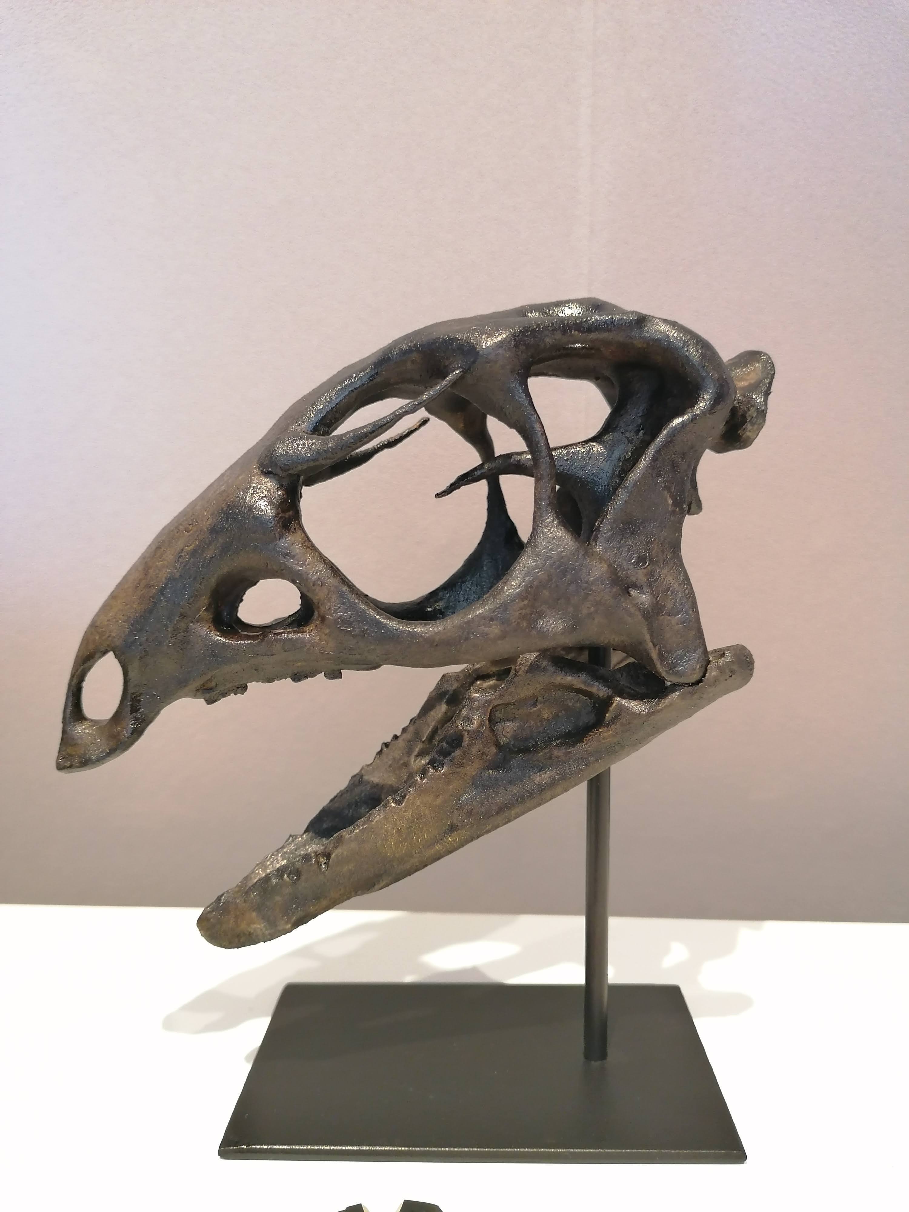 Archivo STL Dryosaurus Altus - Cráneo de dinosaurio 🦷 ・Modelo de ...