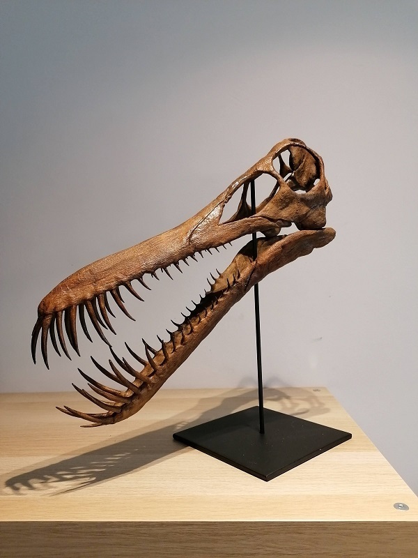 STL file Pterosaur skull - Boreopterus 💀 ・3D printable design to ...