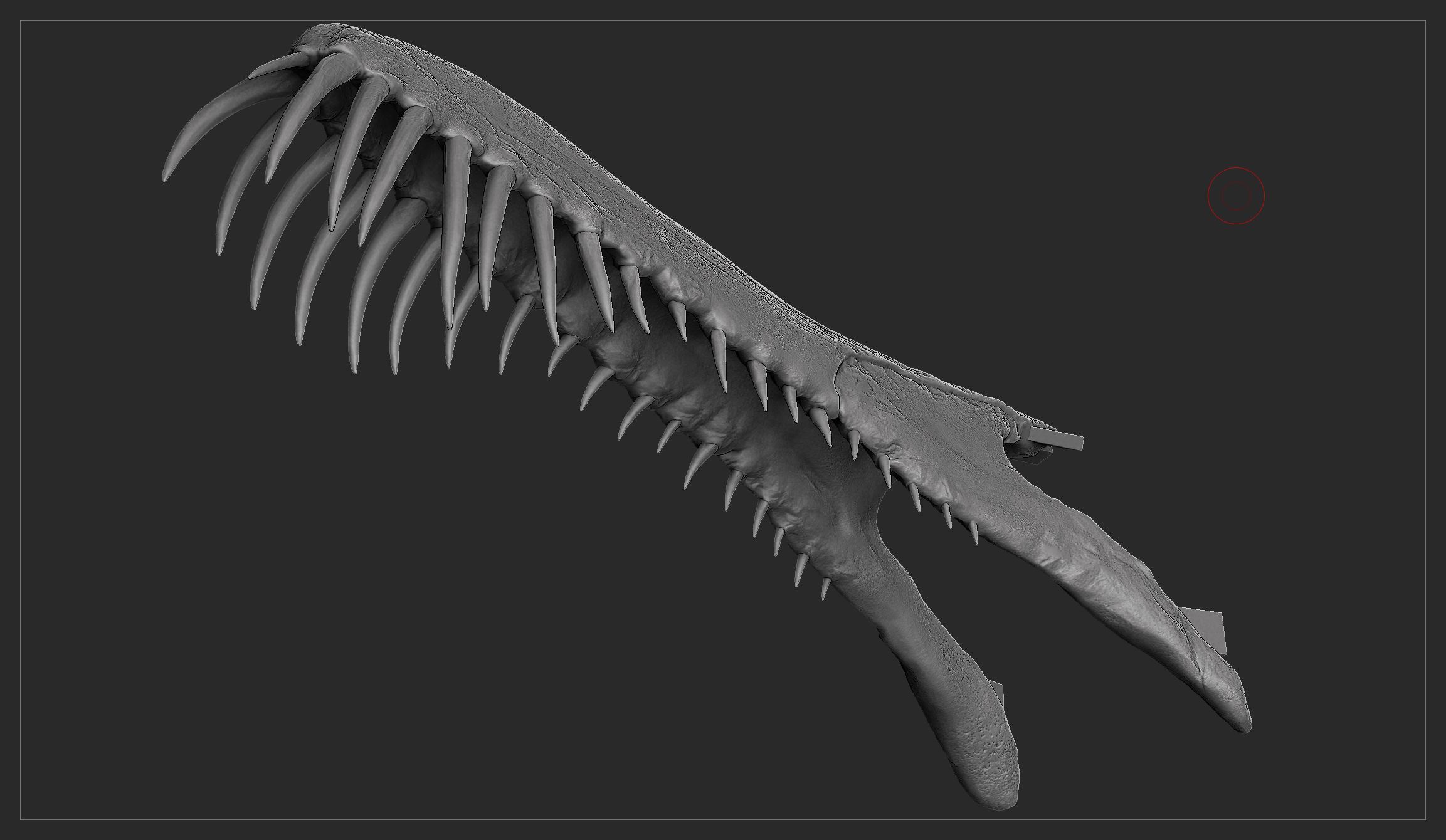 💀 Pterosaur skull - Boreopterus・ STL File for 3D printing・Cults