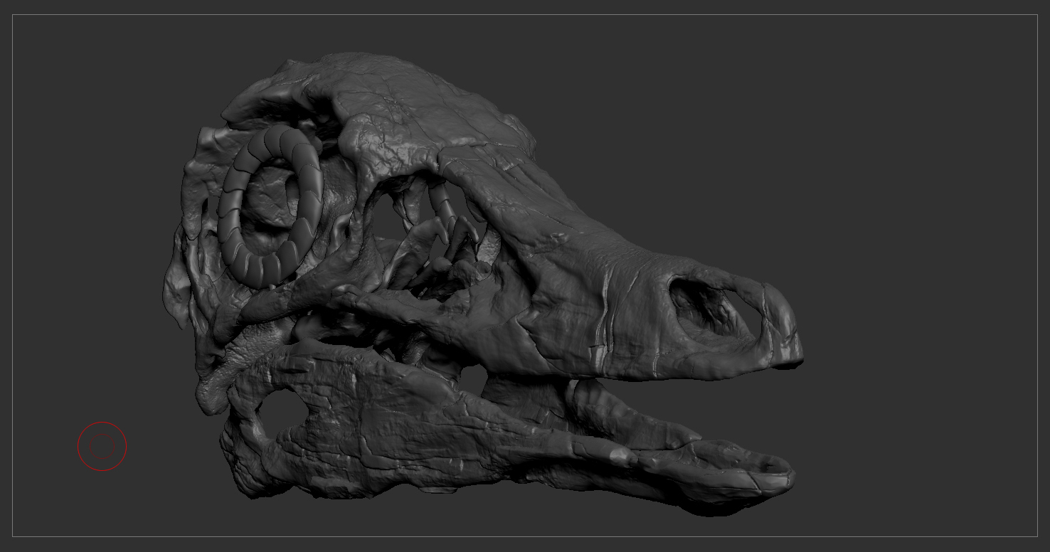 🦖 Dinosaur skull - Struthiomimus altus・ STL File for 3D printing・Cults