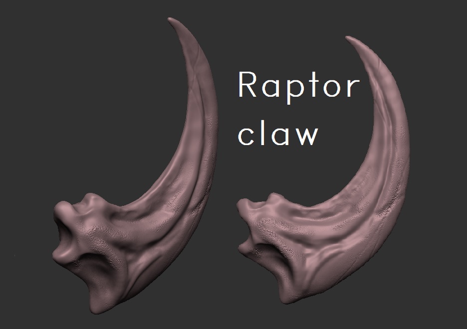 🦖 Dinosaur - Raptor Claw・ STL File for 3D printing・Cults