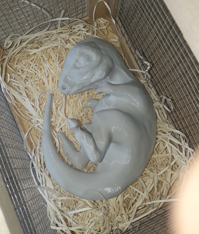 STL file Baby Dinosaur - Sleeping 👶 ・3D printer model to download・Cults