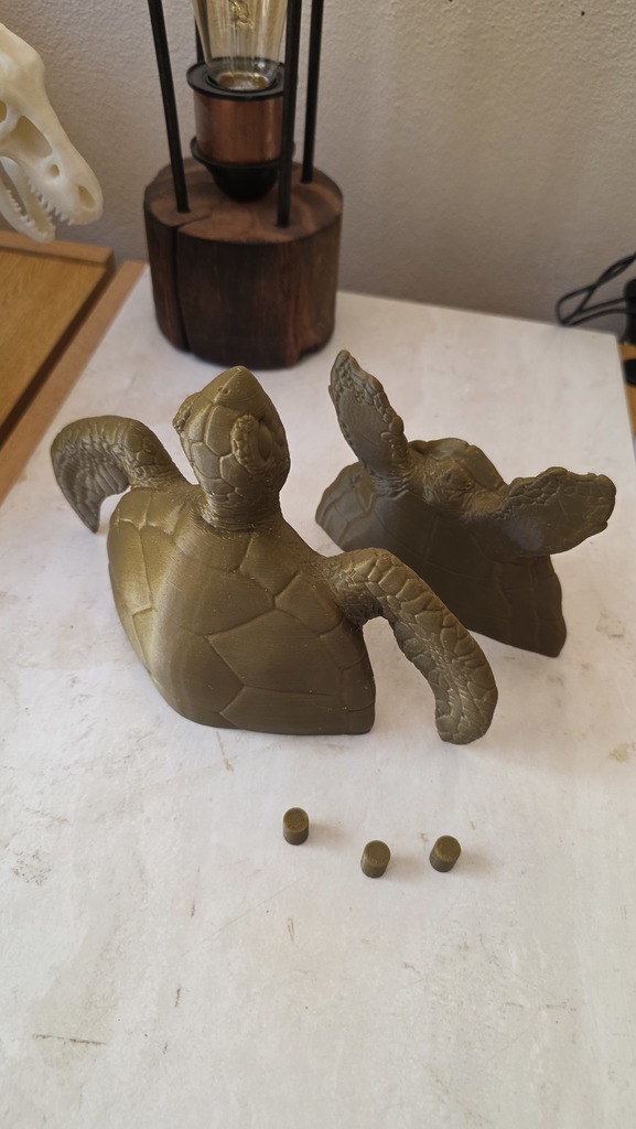 🐢 Sea Turtle Sectioned Remix - Tortuga marina seccionada・Free STL File ...