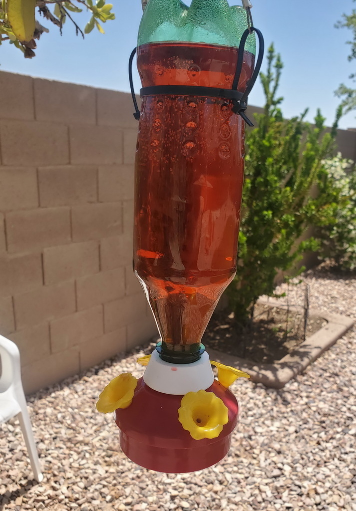 🌳 Humingbird Feeder Adapter・Free 3D File for ・Cults