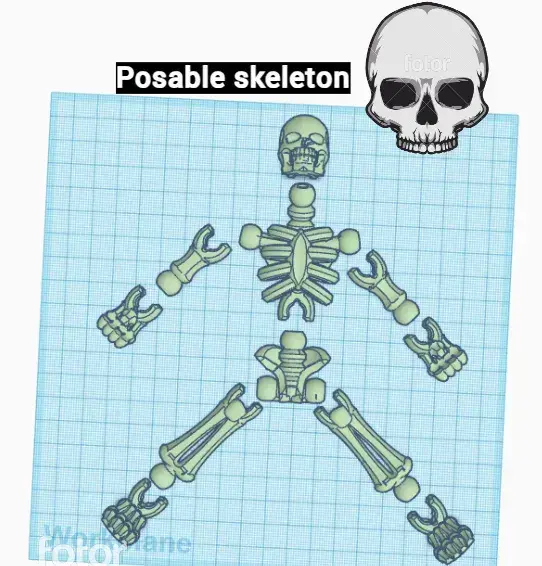 Free 3D file Posable skeleton 💀 ・3D printer model to download・Cults