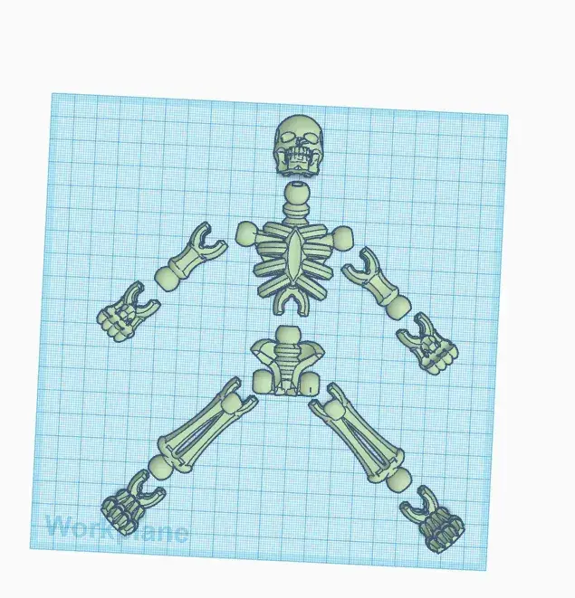 Free 3D file Posable skeleton 💀 ・3D printer model to download・Cults