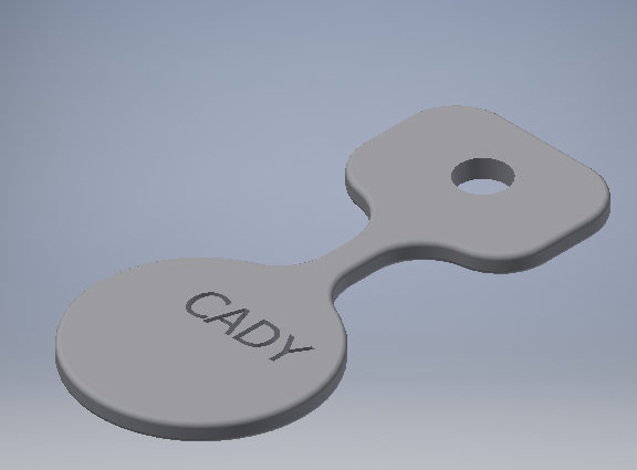 STL file TOKEN FOR CADY 📱・3D printing idea to download・Cults