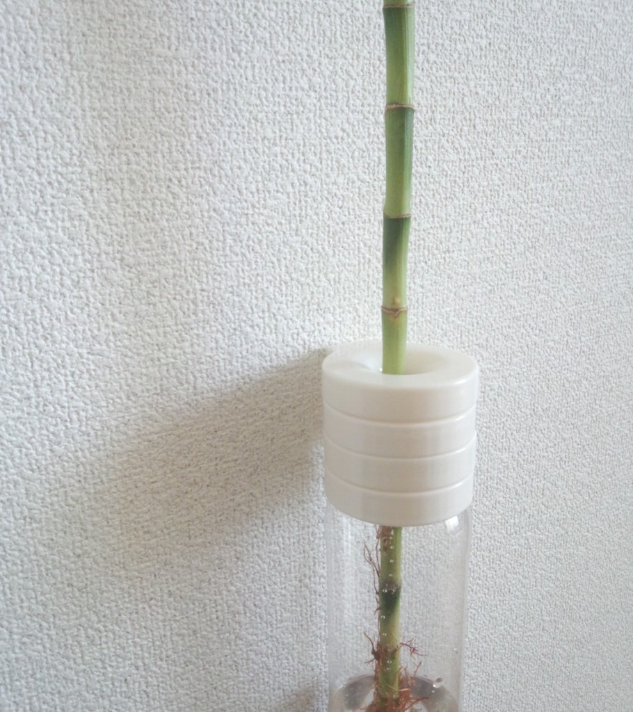 Free 3D file PET VASE CAP_02-wall 🏺・3D print design to download・Cults