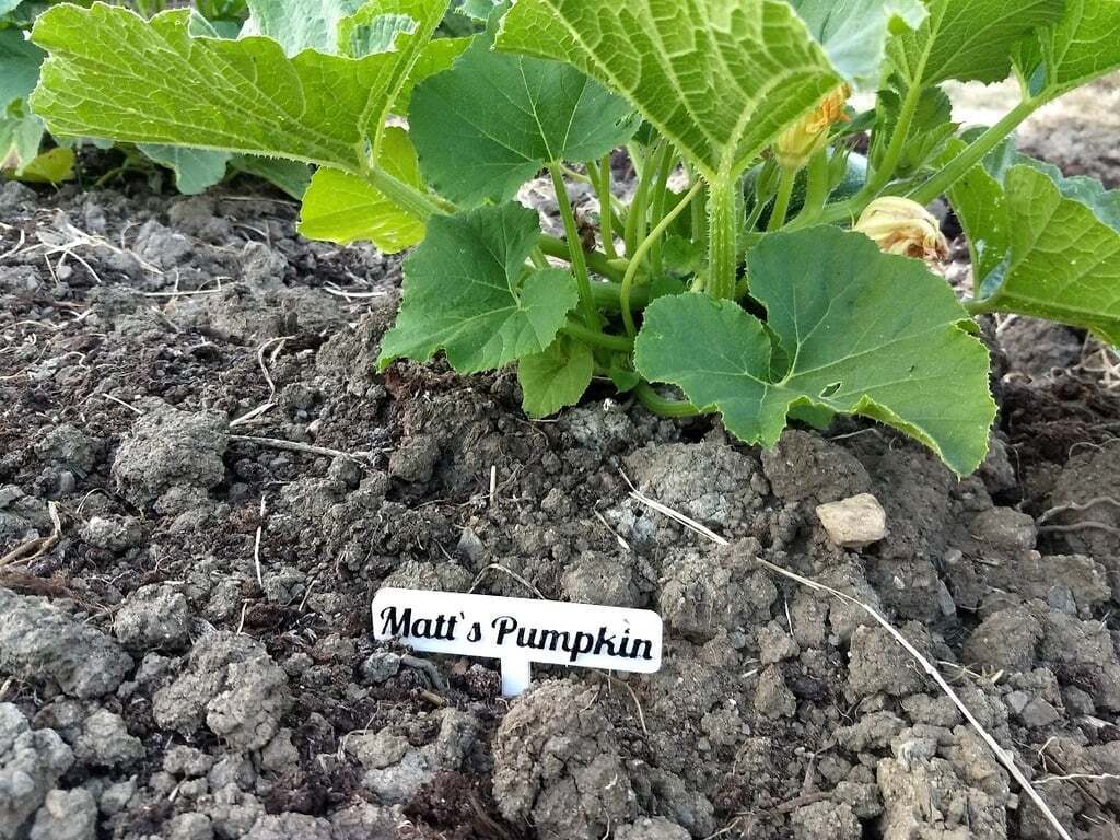 3D printed Plant Sign - v2・Cults