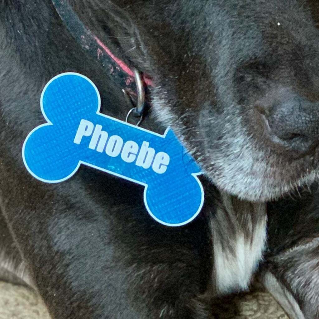 🦴 Bone Shaped Personalized Dog Tag・Free STL File for ・Cults