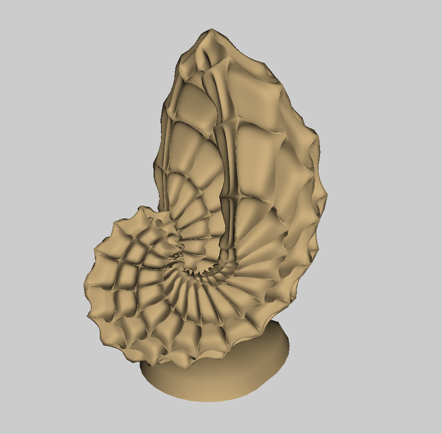 STL file Nautilus 🐚 ・3D printing model to download・Cults